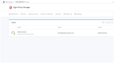 Get Started With Docker Part Forward Custom Hostnames With Nginx Proxy Manager And Pi Hole