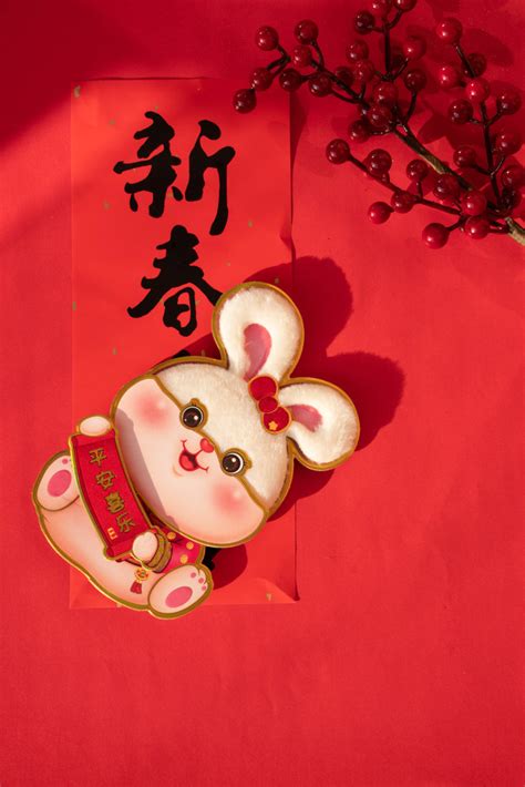 2023春节兔年素材 2023春节兔年模板 2023春节兔年图片免费下载 设图网