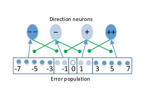 Direction Neurons To Modulate The Output Command Direction Download