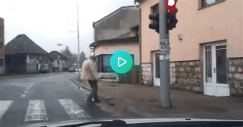 One Step Forward Two Steps Back  On Imgur