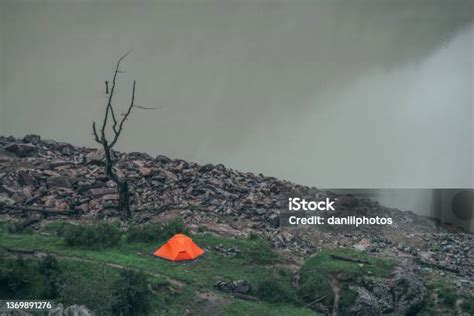 산호수물 근처의 선명한 주황색 텐트와 아름다운 죽은 나무가 있는 경치 산호수의 가장자리 수면 근처에 혼자 밝은 주황색 텐트와 마른 나무가있는 대기 풍경 경관에 대한 스톡