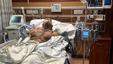 Fundraiser By Morgan Coleman Ufc Legend Mark Coleman Battling For His Life