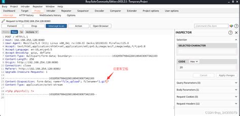 Nginx 文件名逻辑漏洞（cve 2013 4547）复现。 新手向。小白也能听得懂的。面向小白详细讲解。配合burpsuite新老版本抓包