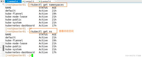 【kubernetes】探索k8s集群中kubectl的陈述式资源管理 Csdn博客