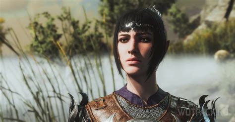 발더스 게이트 3의 소설 모든 동반자 관계