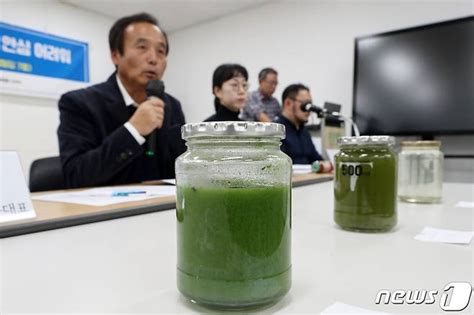 정부 환경단체 조류 독소 위해성 공방차기정부 물 정책 변수
