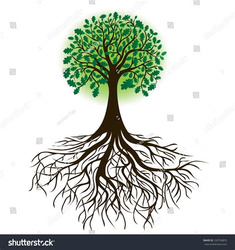 Oak Tree Roots Dense Foliage Vector Stock Vector Royalty Free 103754870