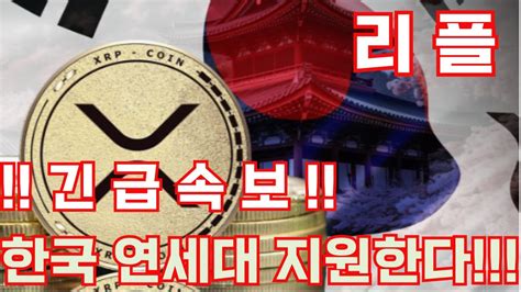 리플 Xrp 긴 급 속 보 한국 연세대 지원한다 Youtube