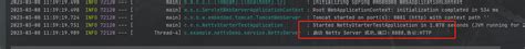 GitHub CohLins netty spring boot starter 一个netty的springboot starter