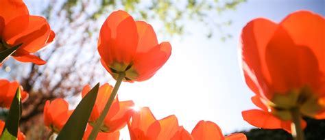 Slideshow HTML Remarkable Pure CSS Slide Show