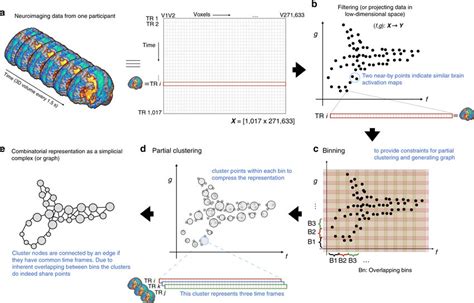 Application Of Mapper To 4d Fmri Data A Pre Processed Four Dimensional Download Scientific