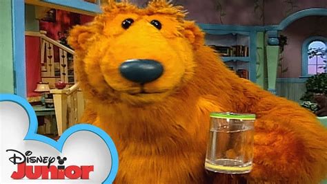 Bear Bear In The Big Blue House Disney Character Guide