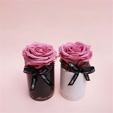 Cnflower Only You