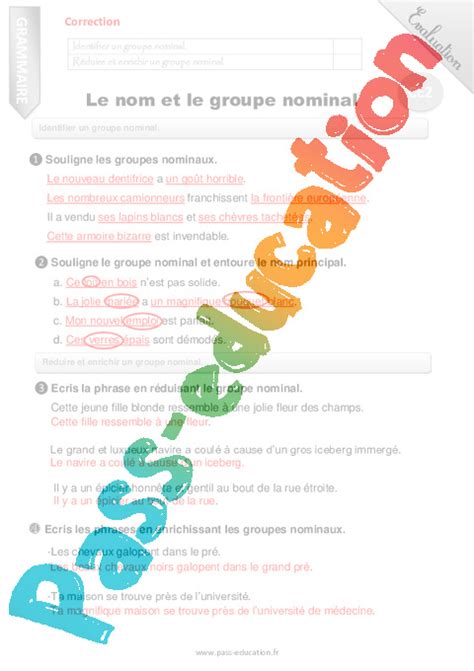 Nom et le groupe nominal Evaluation Bilan Ce2 Cycle 2 PDF à imprimer