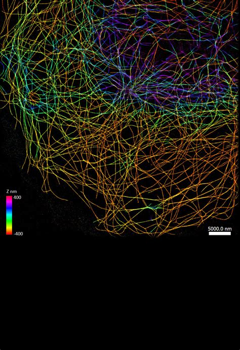 Dragonfly Confocal Microscope System Andor Oxford Instruments