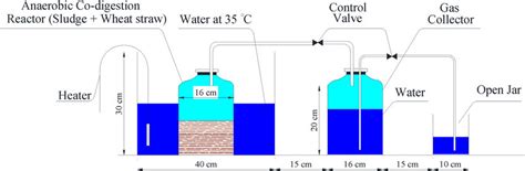 Batch Cell Schematic Diagram Download Scientific Diagram