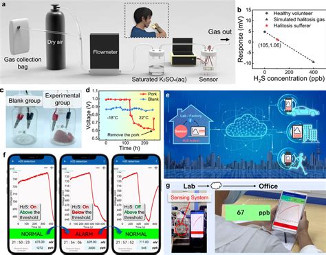 H2S Detection Application Scenarios A Schematic Diagram Of Halitosis Download Scientific