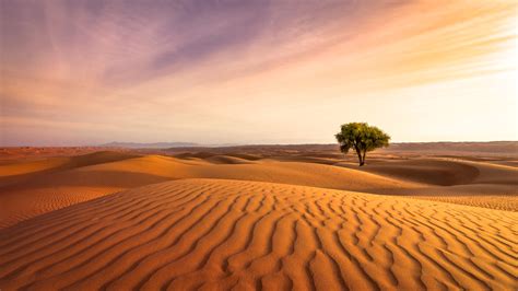 8 Unforgettable Experiences You Can Only Have In Oman Skyscanner India