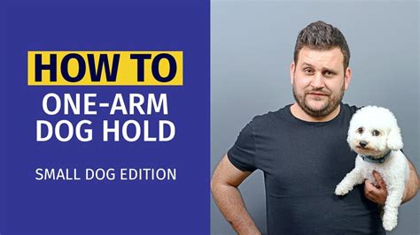How To Hold A Small Dog With One Arm Animal Behavior College Youtube
