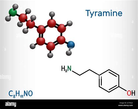 Tyramine Tyramin Molecule It Is Monoamine Compound Derived From