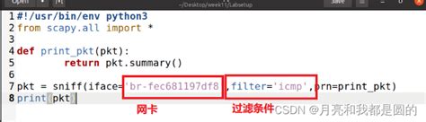 网络攻防 嗅探与欺骗sniff And Spoof Python代码改变原地址 Csdn博客