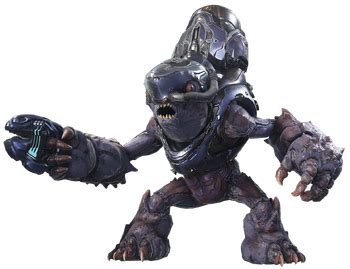 Unggoy Halo Alpha Fandom