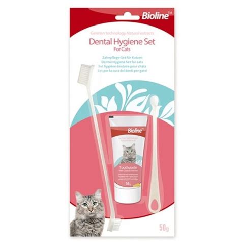 Set Higiene Dental Gato