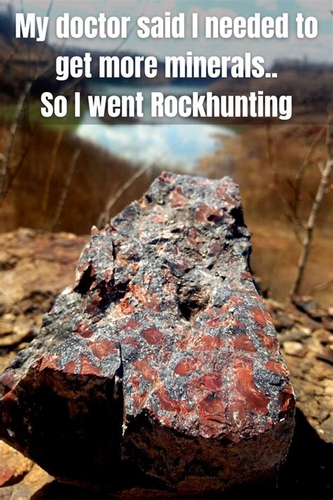 Rock Hunting Meme Rock Hunting Geology Humor Rock Hounding