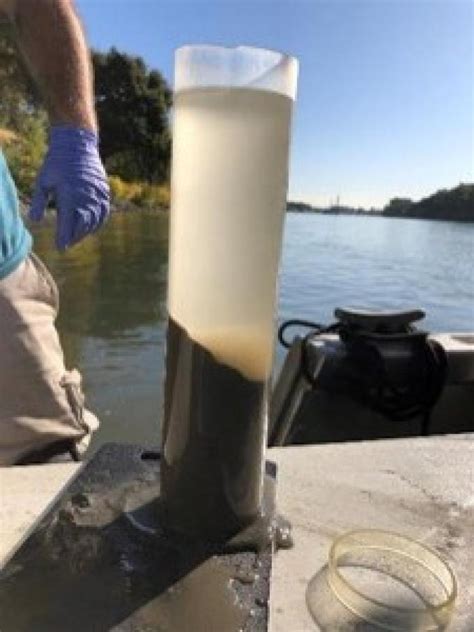 Assessing Sediment Nutrient Storage And Release In The Delta Linking Benthic Nutrient Cycling
