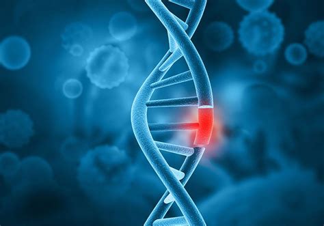 Single Nucleotide Polymorphism Genotyping Drug Discovery News