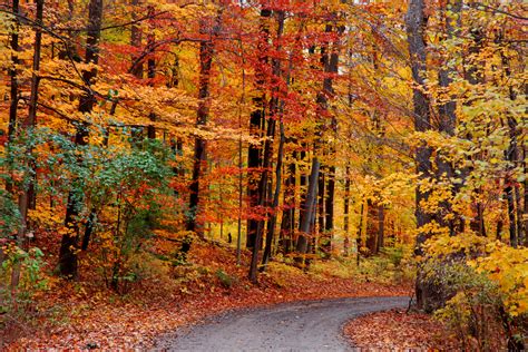 Experience 4 Breathtaking Fall Color Drives In Michigan