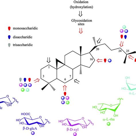General Structure Of Acyclic Side Chain Compounds Download Scientific Diagram