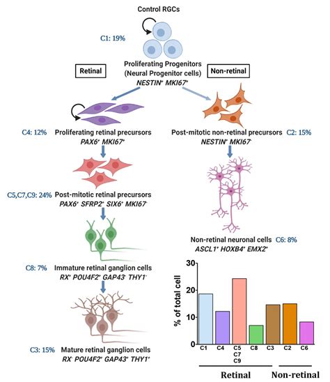 Graphical Abstract [image] Eurekalert Science News Releases