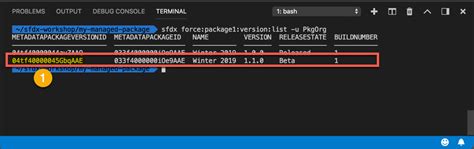 Test The Installation Of Your Package Salesforce Dx For Isvs