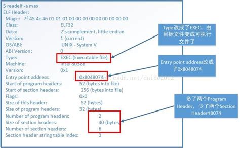 Elf文件解析 Csdn博客
