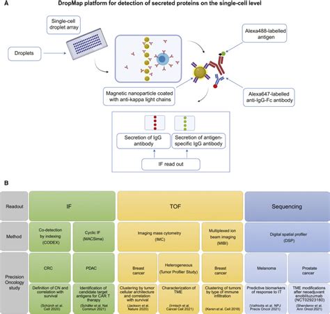 Clinical Application Of Advanced Multi Omics Tumor Profiling Shaping Precision Oncology Of The