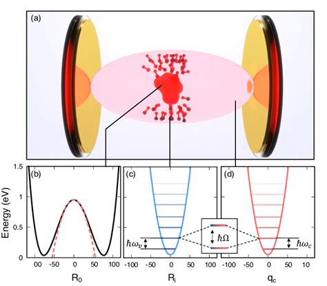 A Schematic Representation Of The Reactive Molecule Coupled To A Set Download Scientific