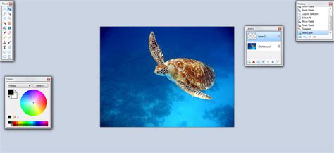 How To Remove The Background In An Image Tutorial Graveyard Paint NET Forum