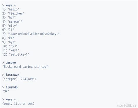 Redis持久化rdbaof Ew帮帮网