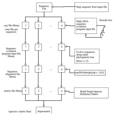 Program Flow The Diagram Indicates The Simulation Program Flow Used To Download Scientific