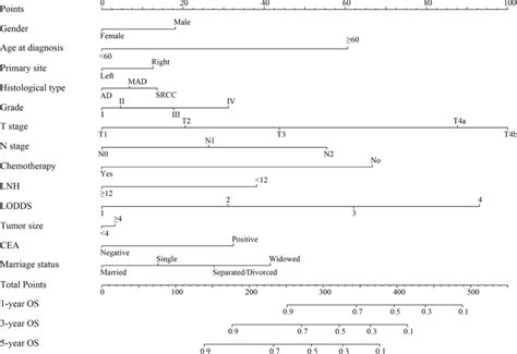Nomogram Convey The Results Of Prognostic Models Using Thirteen