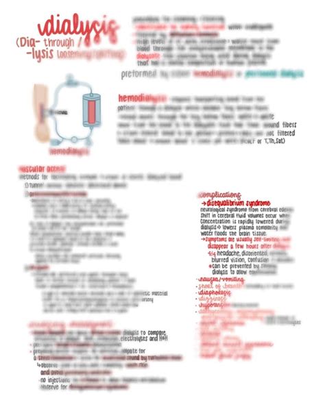Mastering Renal Health Ckd And Aki Nursing Notes For Rns And Rns To Be