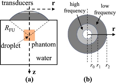 Schematic Diagram Of Dual Frequency Focused Ultrasound Model A The Download Scientific