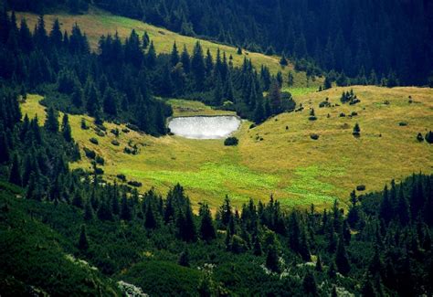20 Карпати шпалери на робочий стіл Hd Скачати Безкоштовно заставки