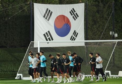 도하에 속속 모인 벤투호 이제 손흥민 합류만 남았다 나무뉴스