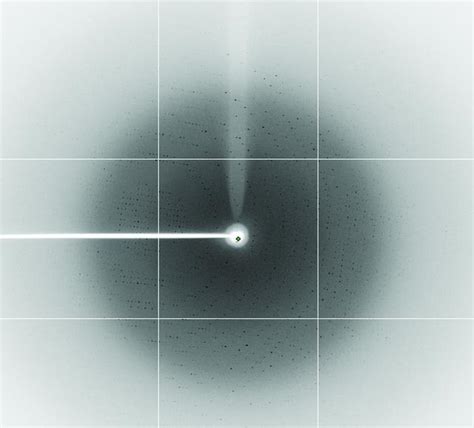 IUCr Cloning Crystallization And Preliminary X Ray Diffraction Analysis Of An Intact DNA