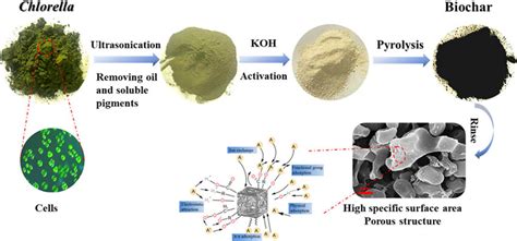 Roadmap Of The Experiment Process Download Scientific Diagram