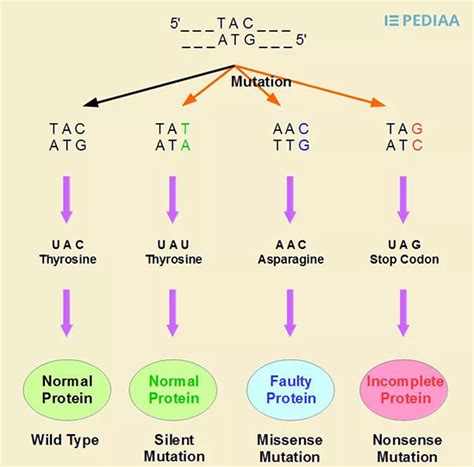 公司新闻 傻傻分不清的基因组变异类型（上）