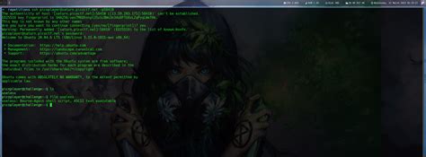 Playing Hacks And Stuffs