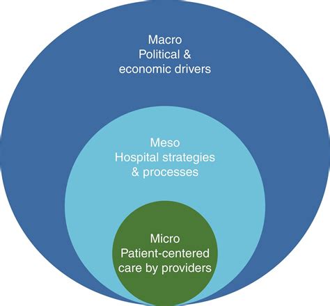 System Thinking In Perioperative Medicine Clinical Tree